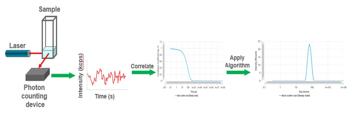 Dynamic Light Scattering method development using the Zetasizer Advance Series | Malvern Panalytical